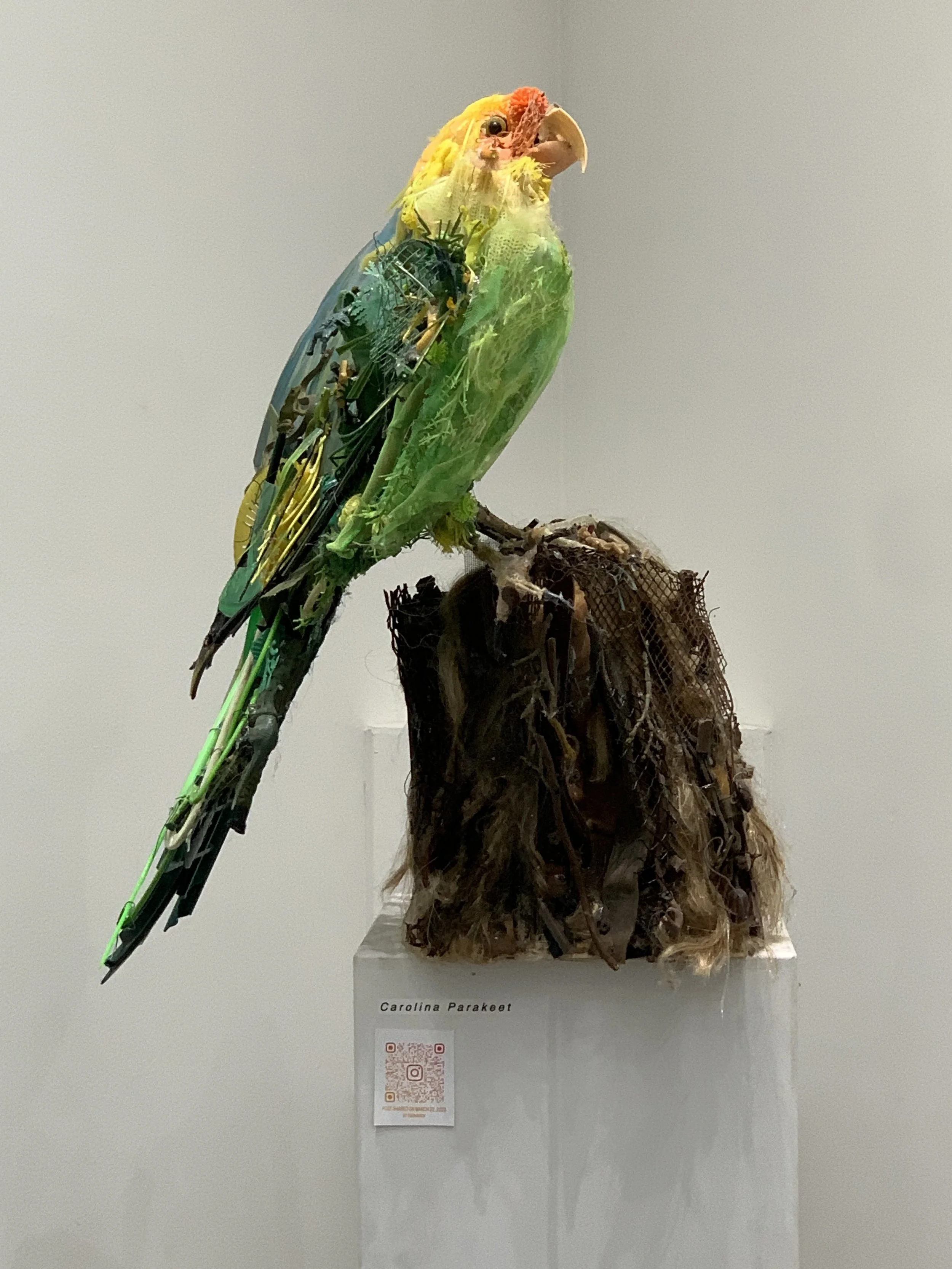 Thomas Deininger — Bernice Steinbaum Gallery