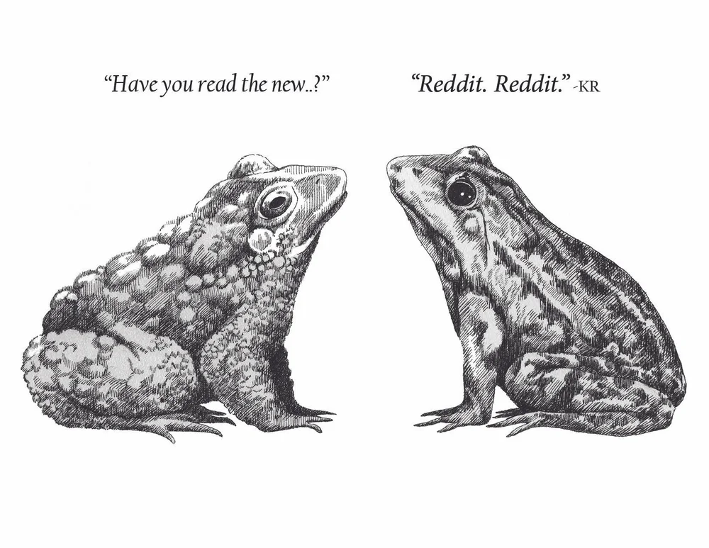 Frog Diagram Frog Muscles New! Diagram | Quizlet