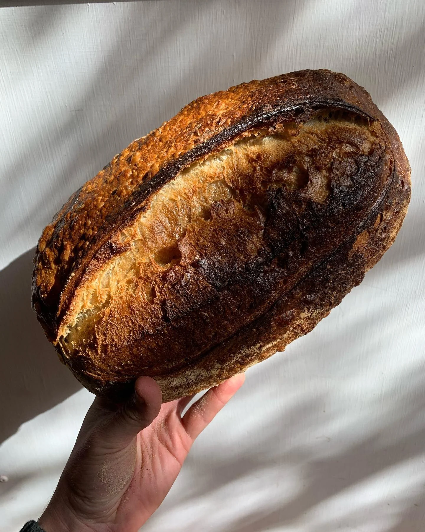 Bakery & Shop — RYE BAKERY