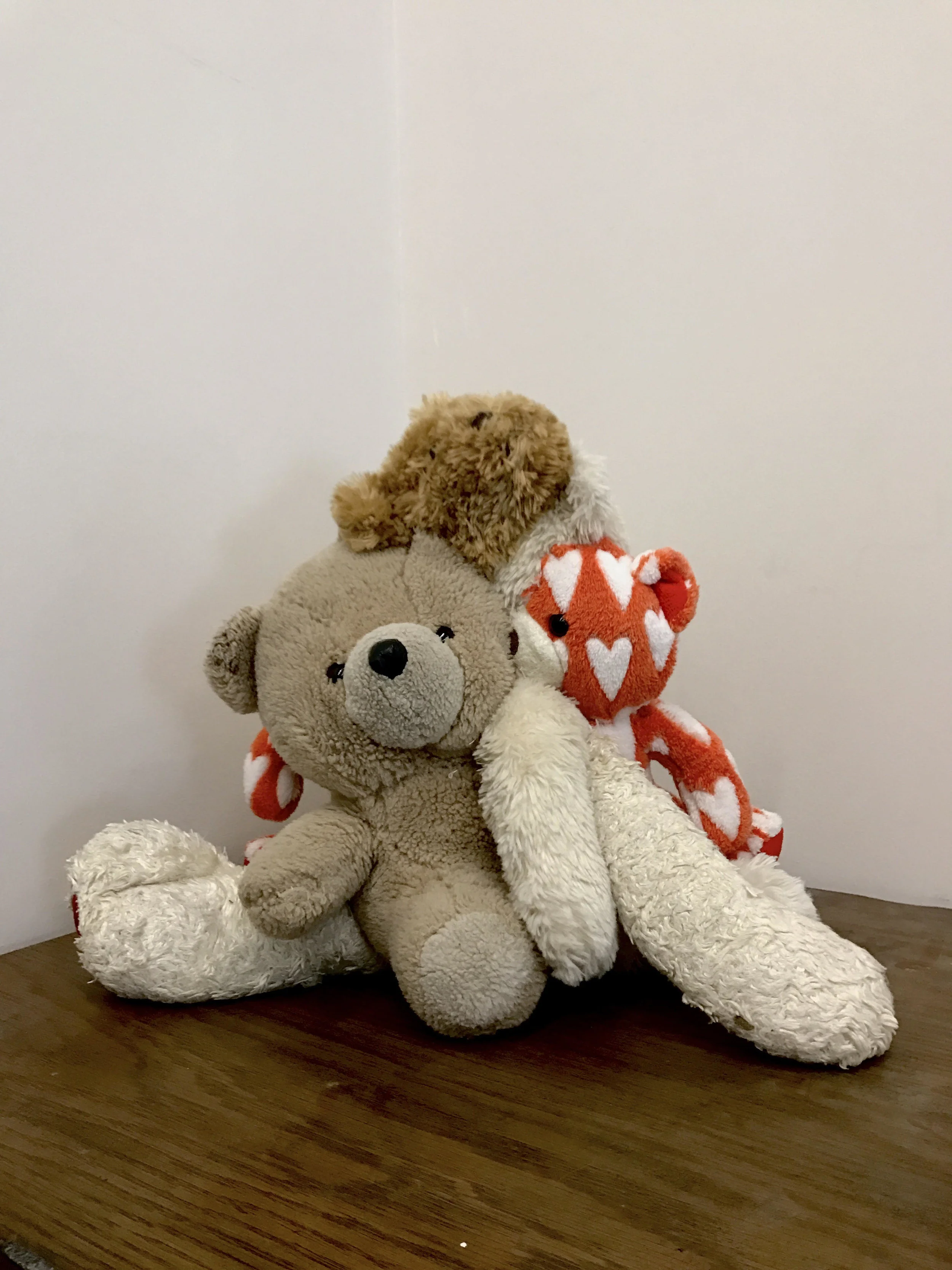 Artist Statement/CV — Ryan Lytle