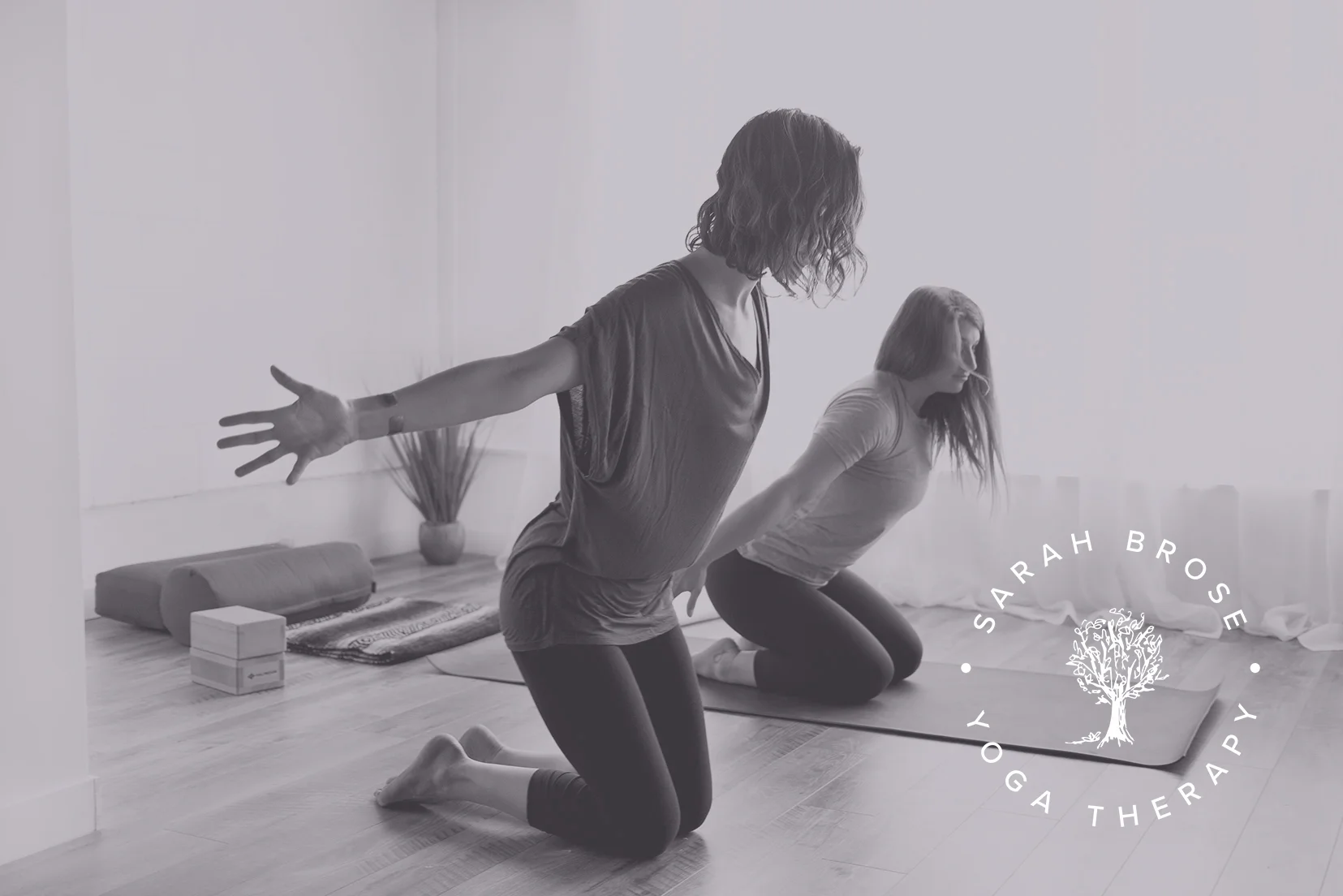 yoga therapy — Sarah Brose Yoga Therapy
