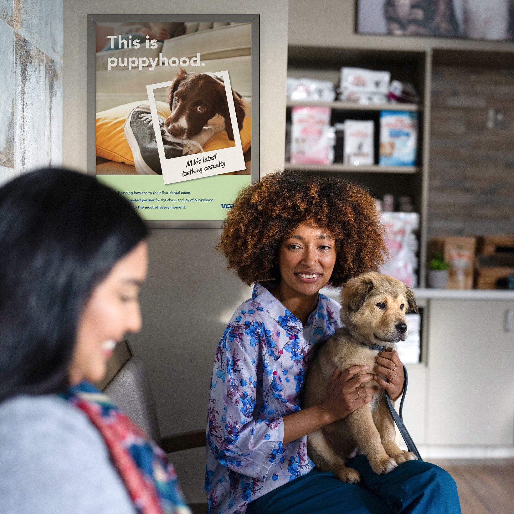 ZED Graphic Communications