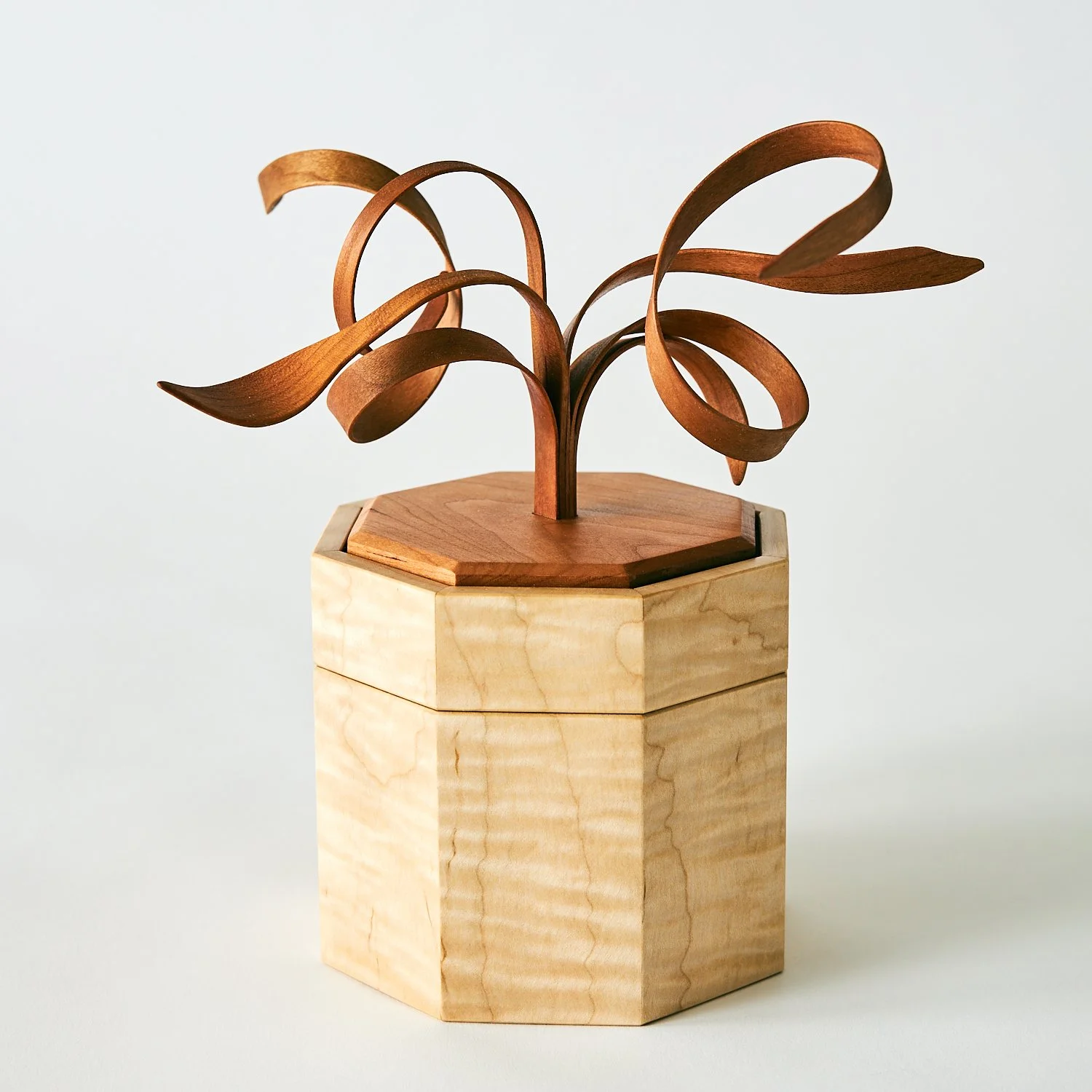 Spiral Sprout Box — Philadelphia Furniture Workshop