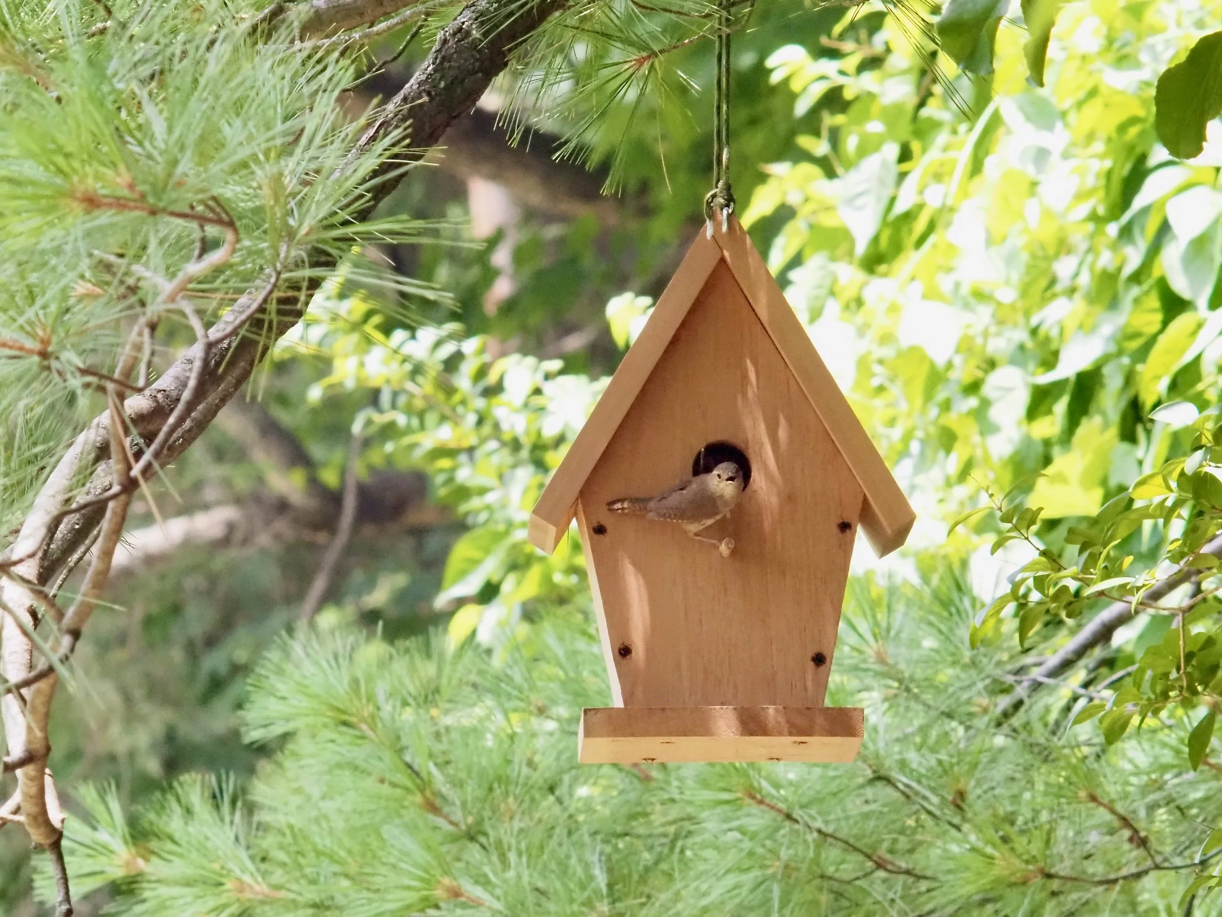 Beginner — Philadelphia Furniture Workshop