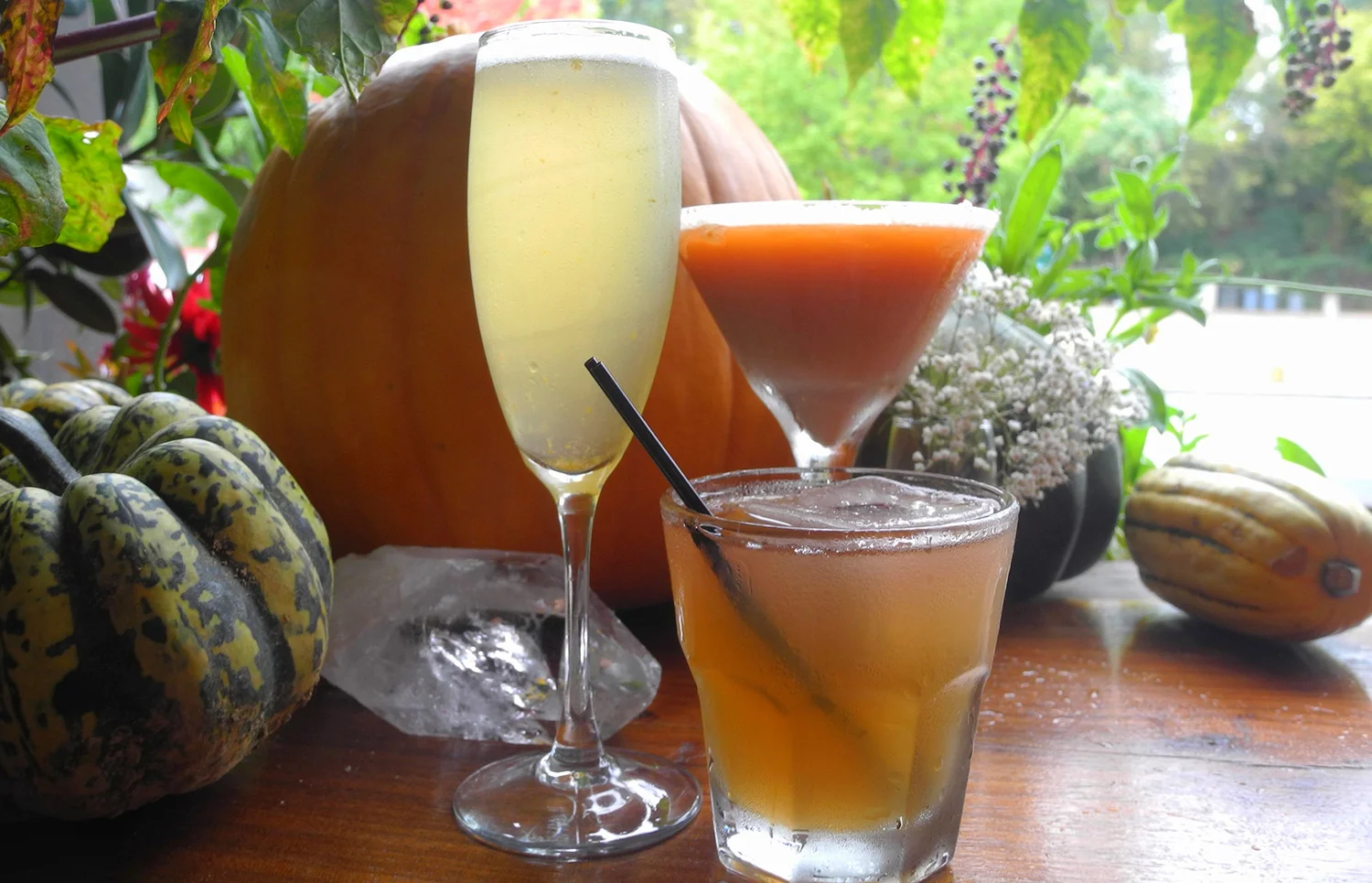 Drink Menu - Buchi Bar | Rosetta's Kitchen Asheville NC — Rosetta's Kitchen