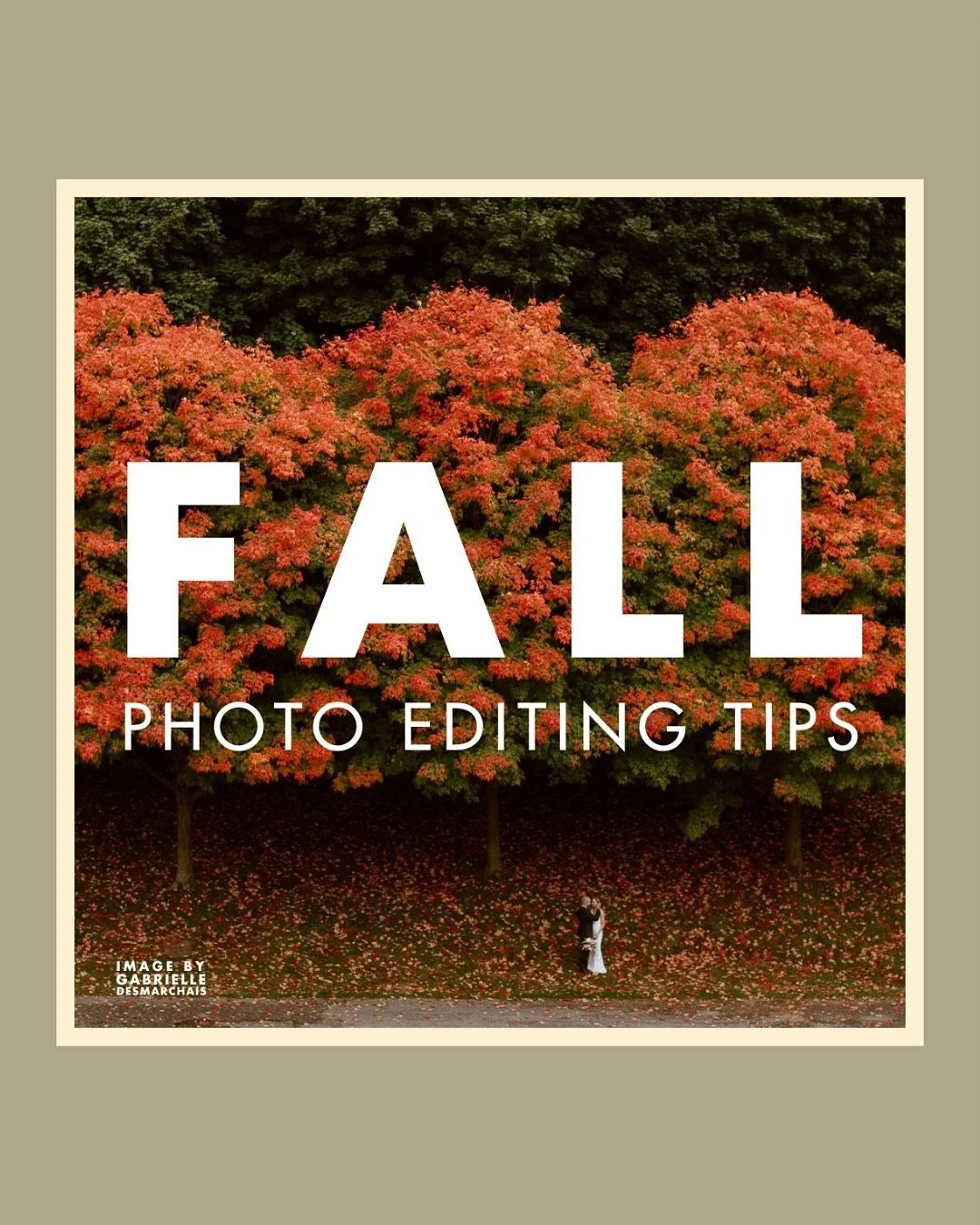 Support — Archipelago