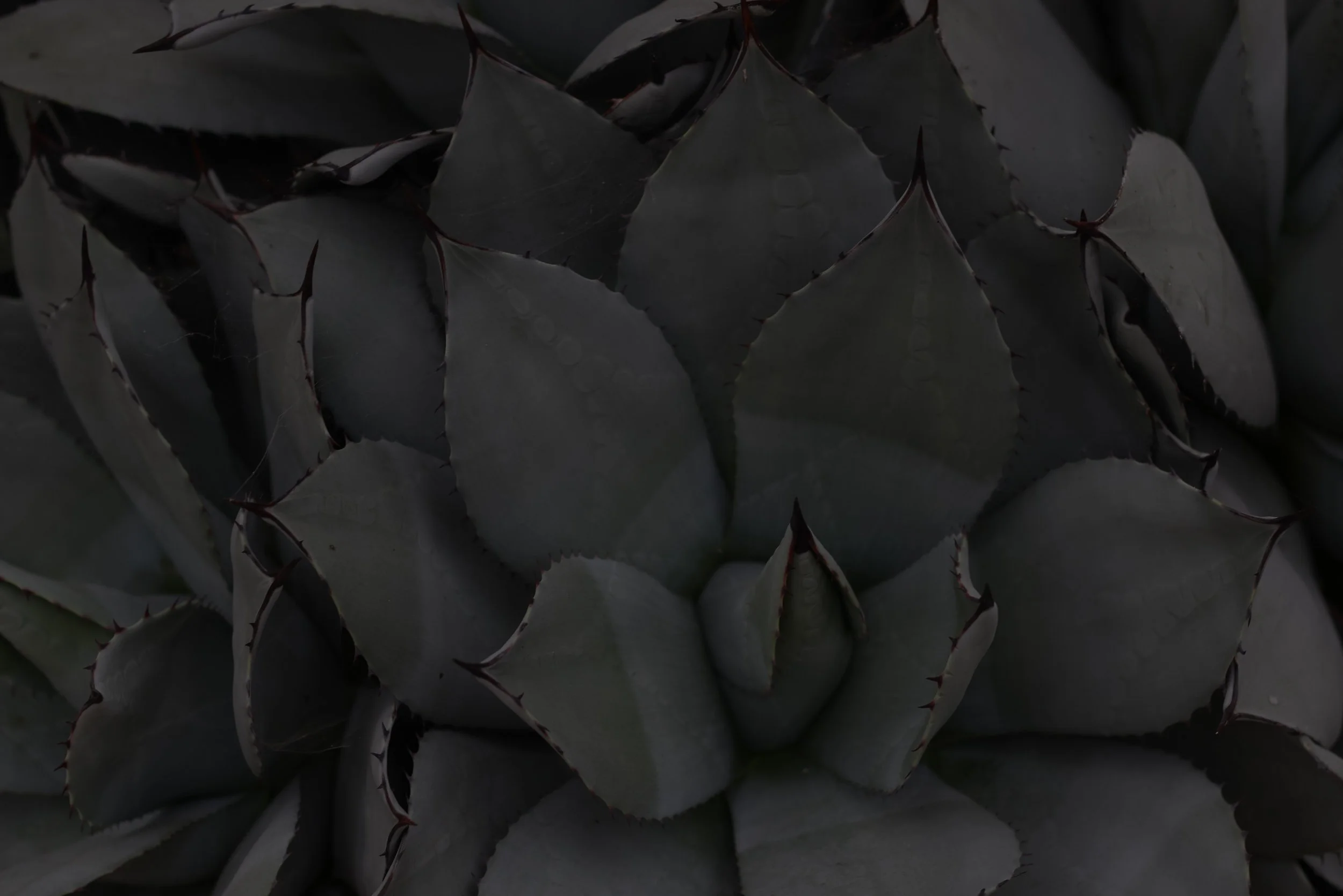 Lightroom Borders Toolset – Clean, Filmic & Grungy Frames — Archipelago