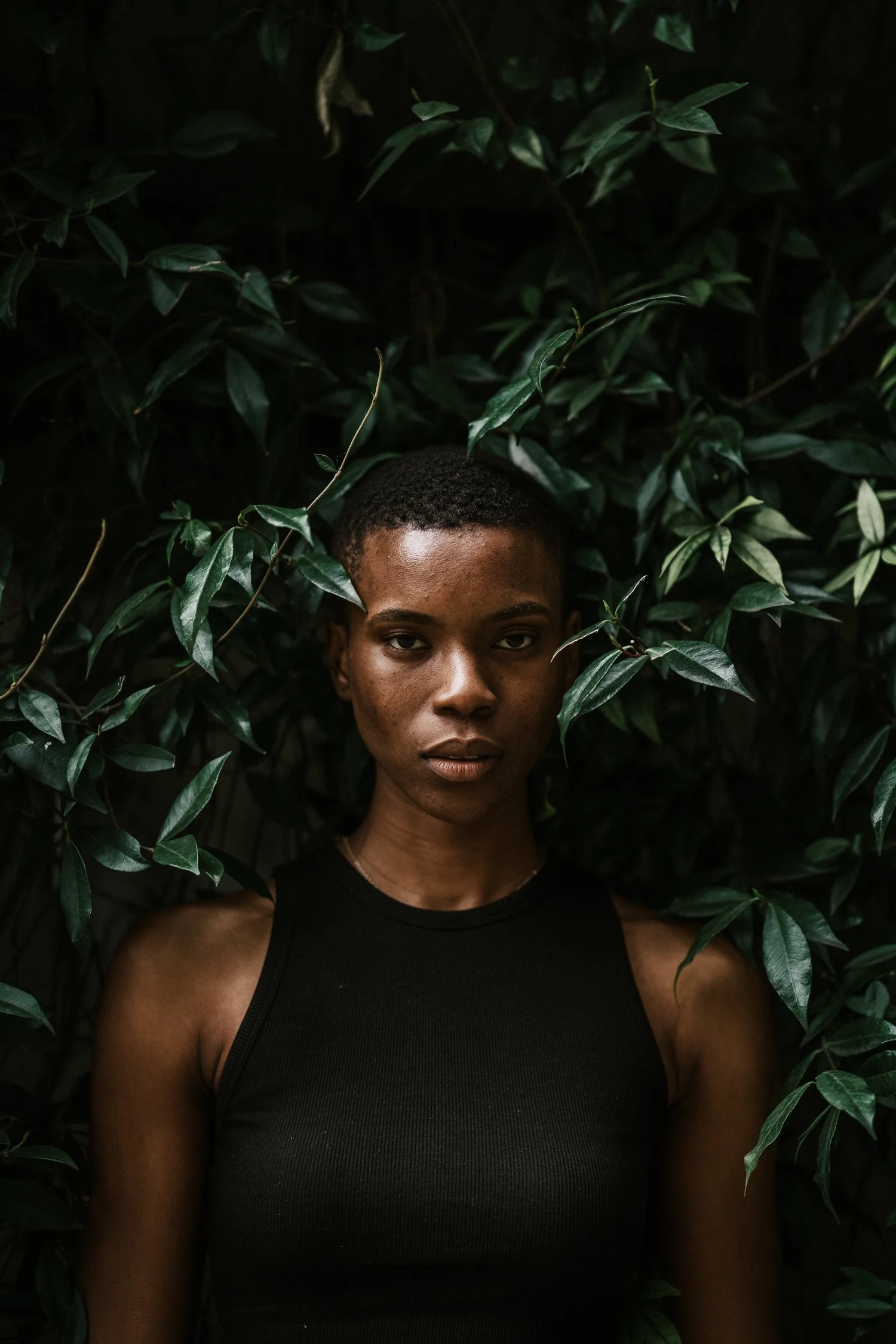 Light & Ochre Lightroom Presets – Earthy, Moody Film Tones — Archipelago