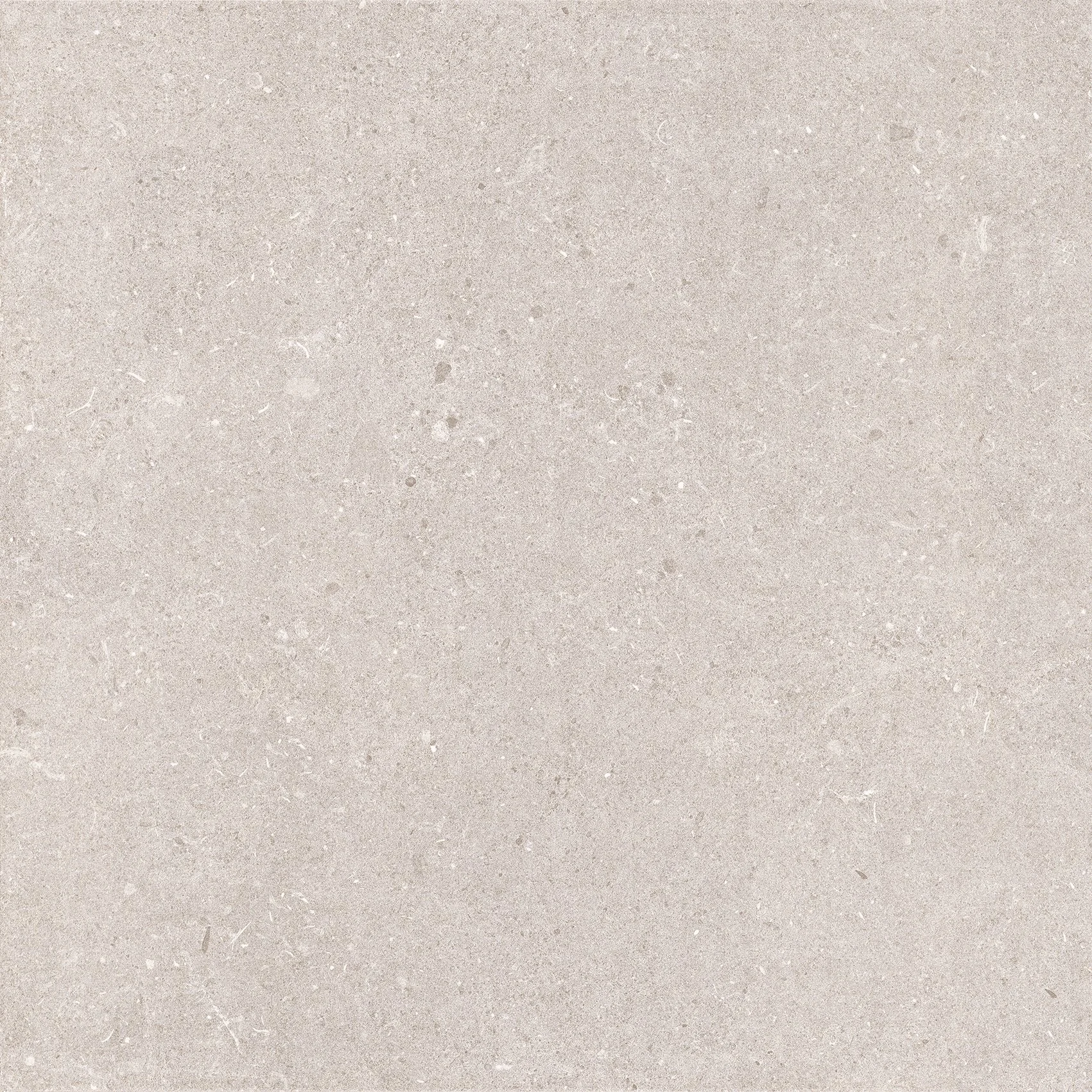 REEF | Italia Ceramics