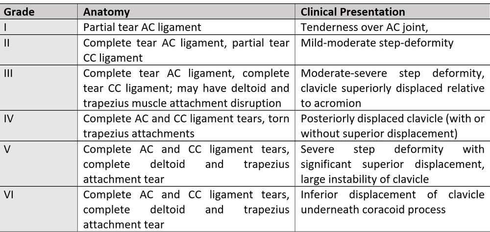 HPRS Brookvale Physio | News — Brookvale Physio | HPRS Physio
