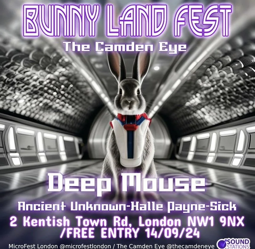 What's on — Camden Eye