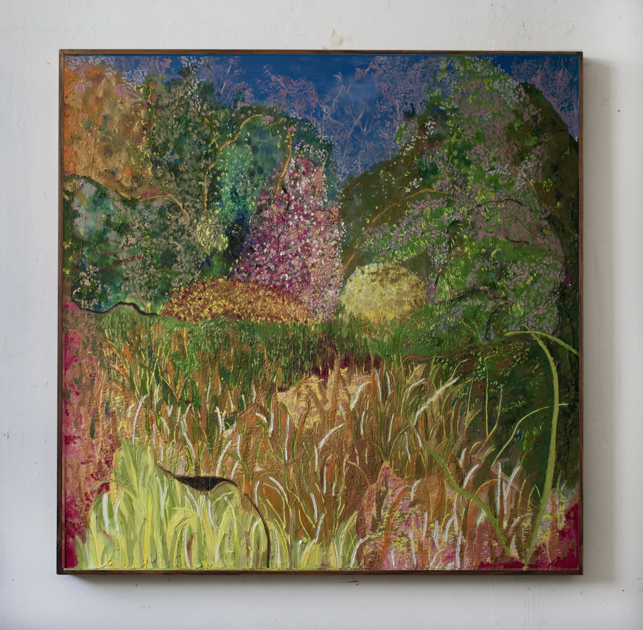 PORTFOLIO — Connie Harrison