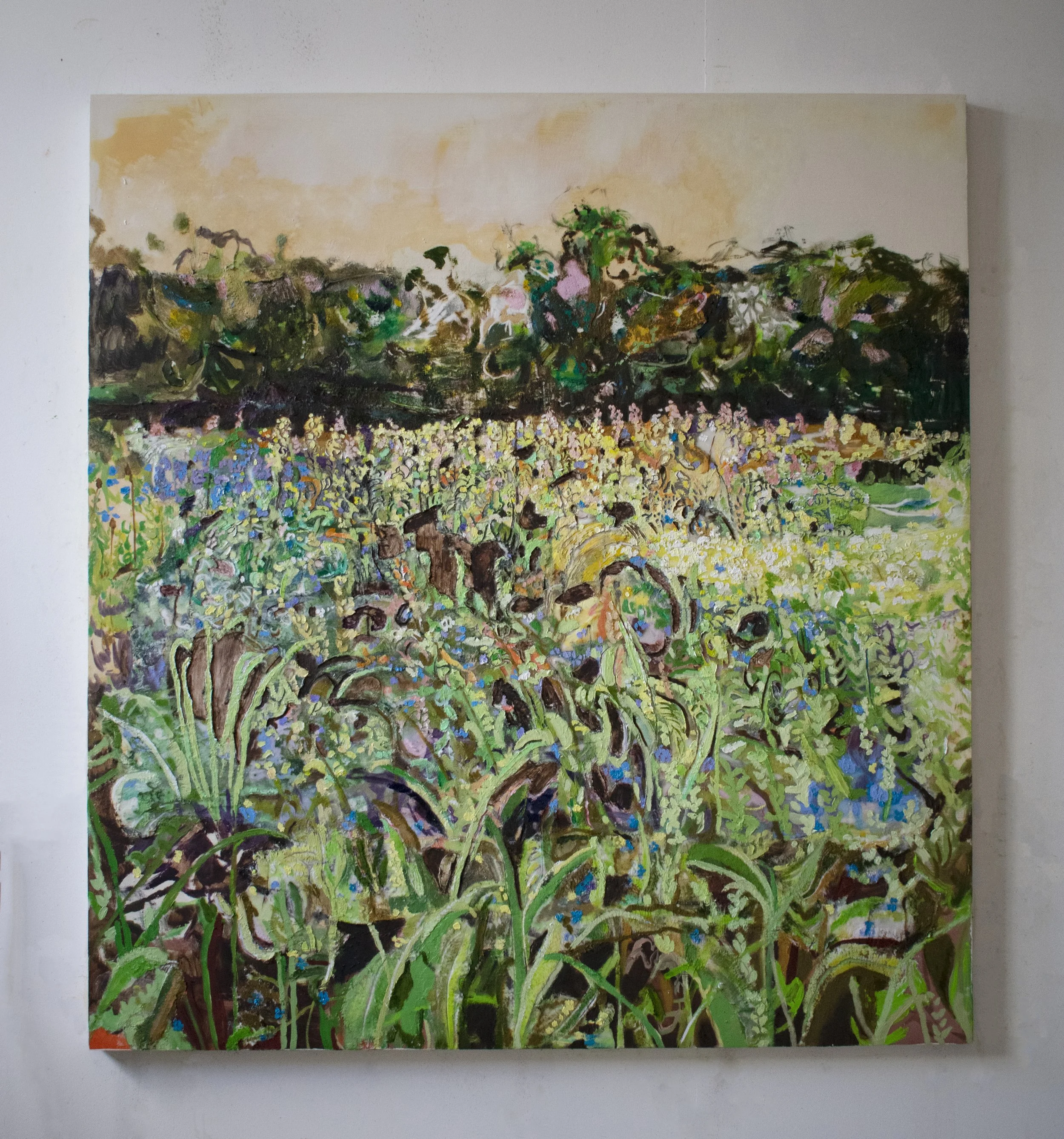 PORTFOLIO — Connie Harrison