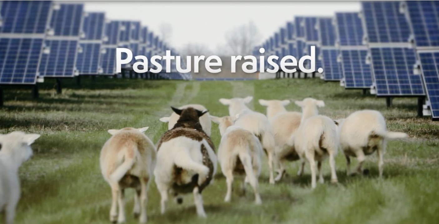 About — Sun Raised Foods