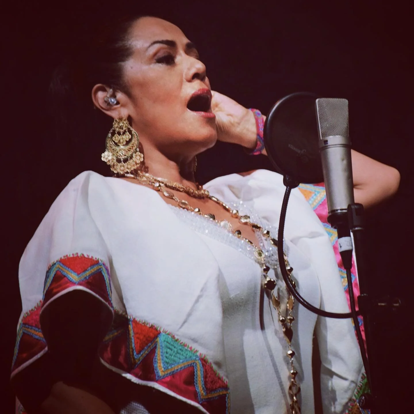 Lila Downs Estandarte De La Música Mexicana — Ibero 909