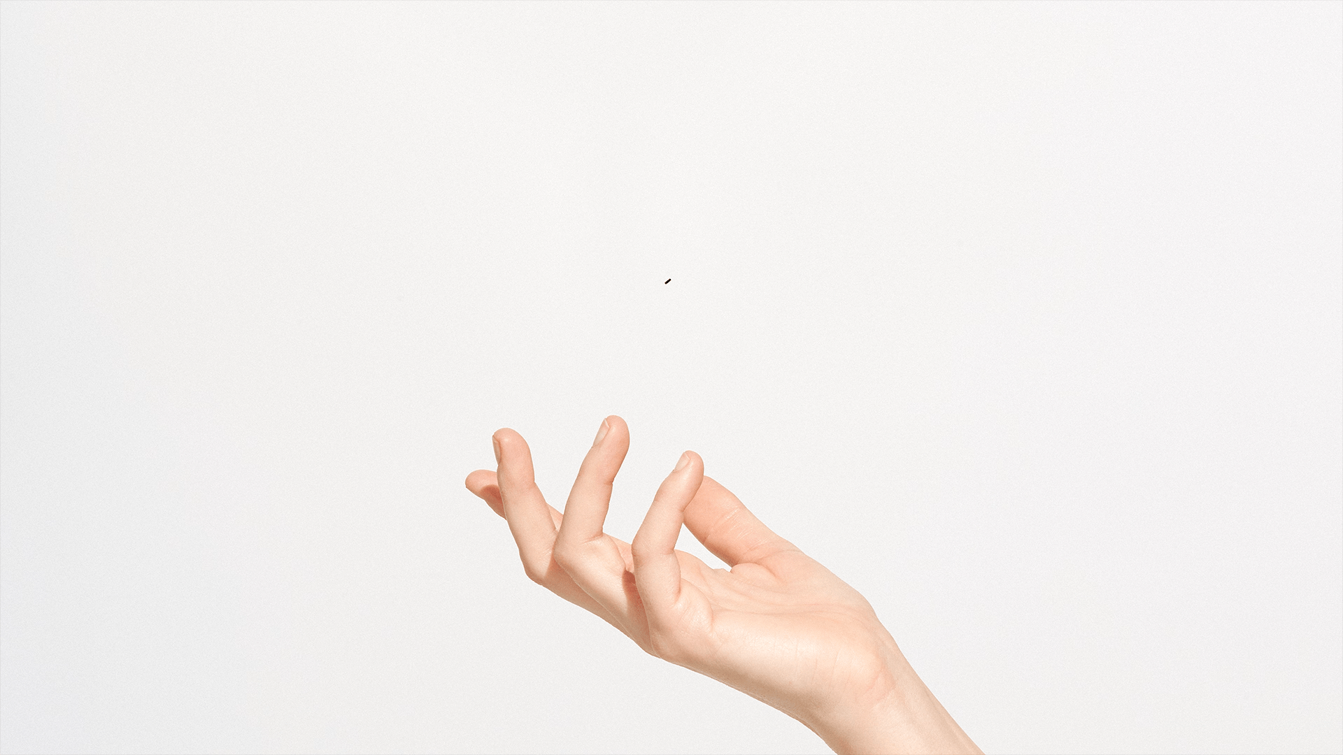 Bionaut — We Landed ® Brand Design, Fundraising, Marketing, San Francisco