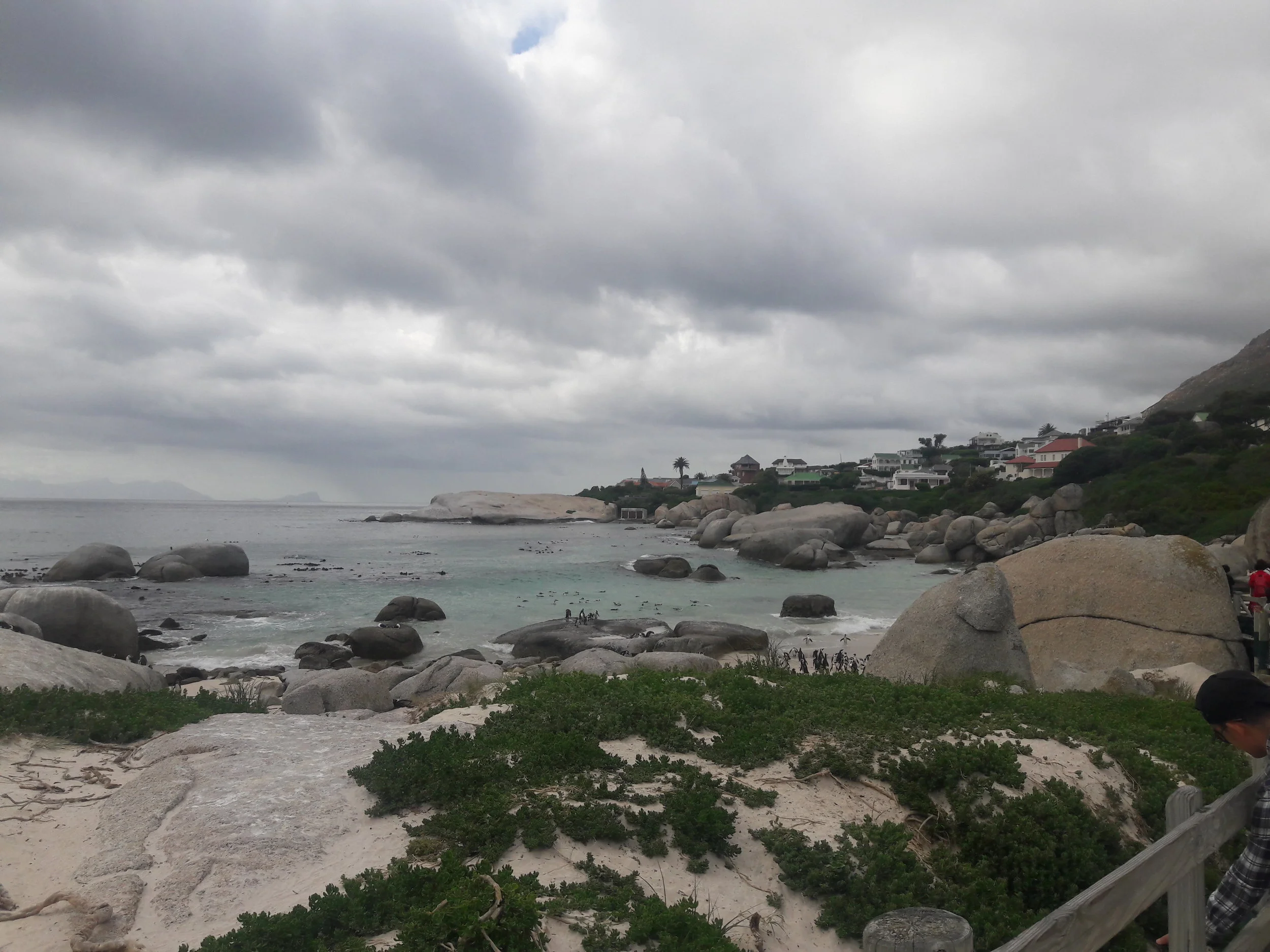 cape town: boulders beach stopover — Kisha Solomon | Story. Strategy ...