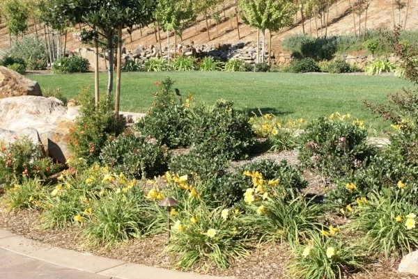 Landscaping Design in Vacaville — Turfworks Inc