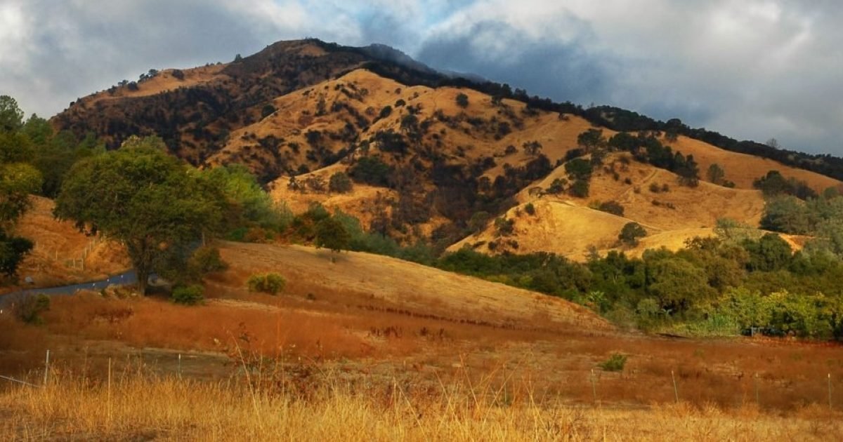 See Our Blog — Turfworks Inc