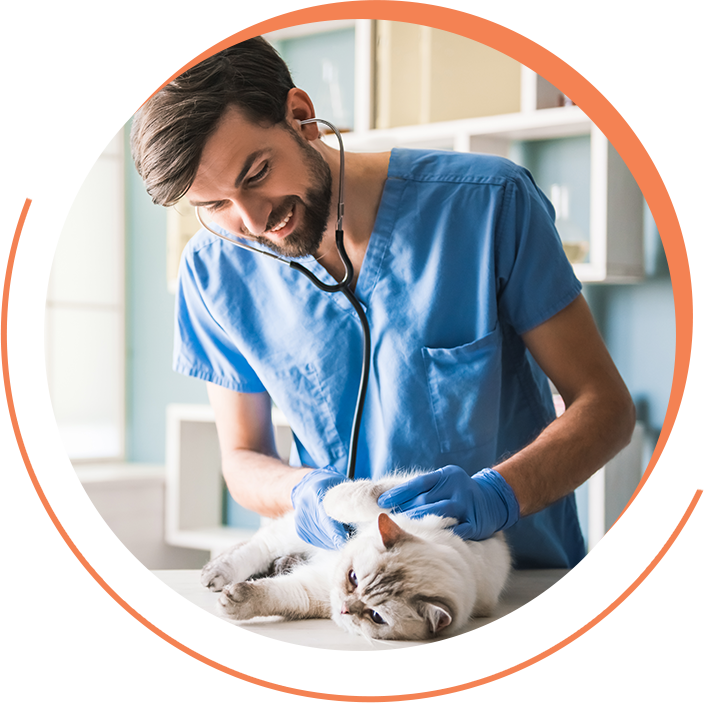 Torigen Pharmaceuticals | Veterinary Cancer Treatment