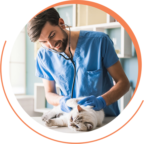 Torigen Pharmaceuticals | Veterinary Cancer Treatment