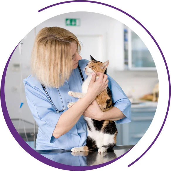 For Veterinarians — Torigen Pharmaceuticals