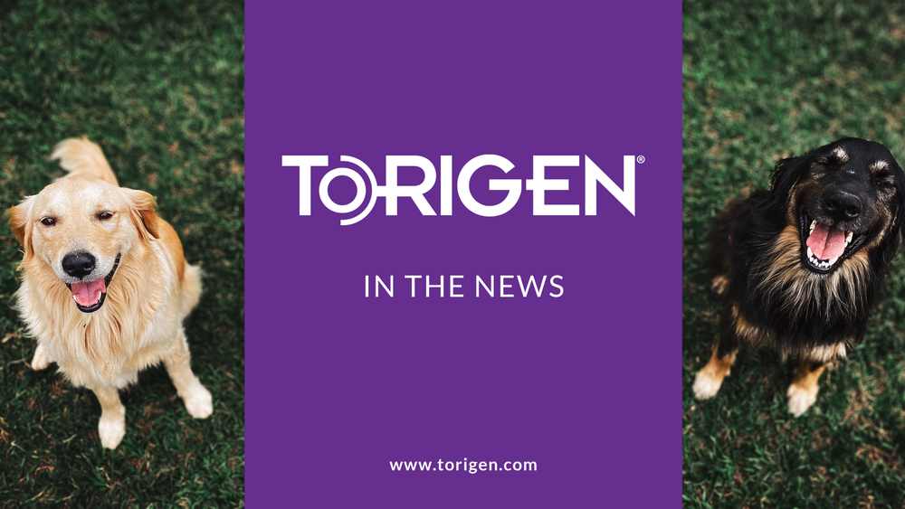 Recent Company Updates — Torigen Pharmaceuticals