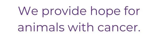 Torigen Pharmaceuticals | Veterinary Cancer Treatment