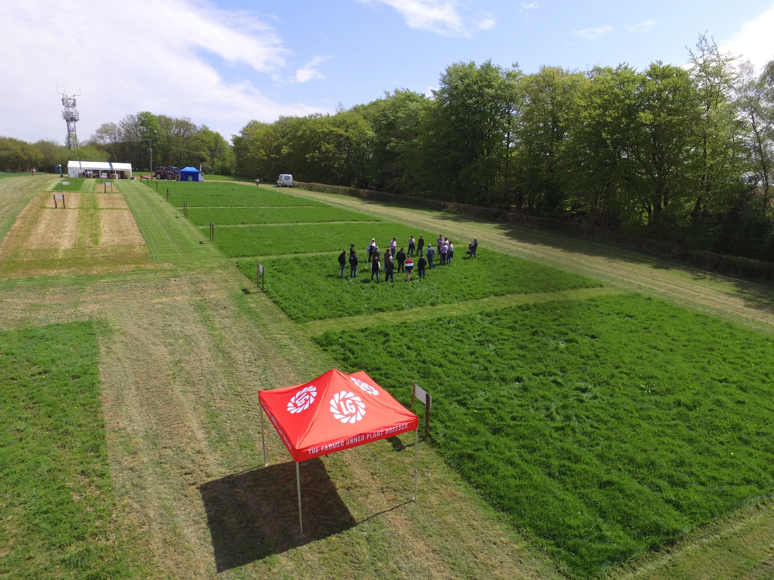 Trial Plot Open Day - Invite — Bodle Bros
