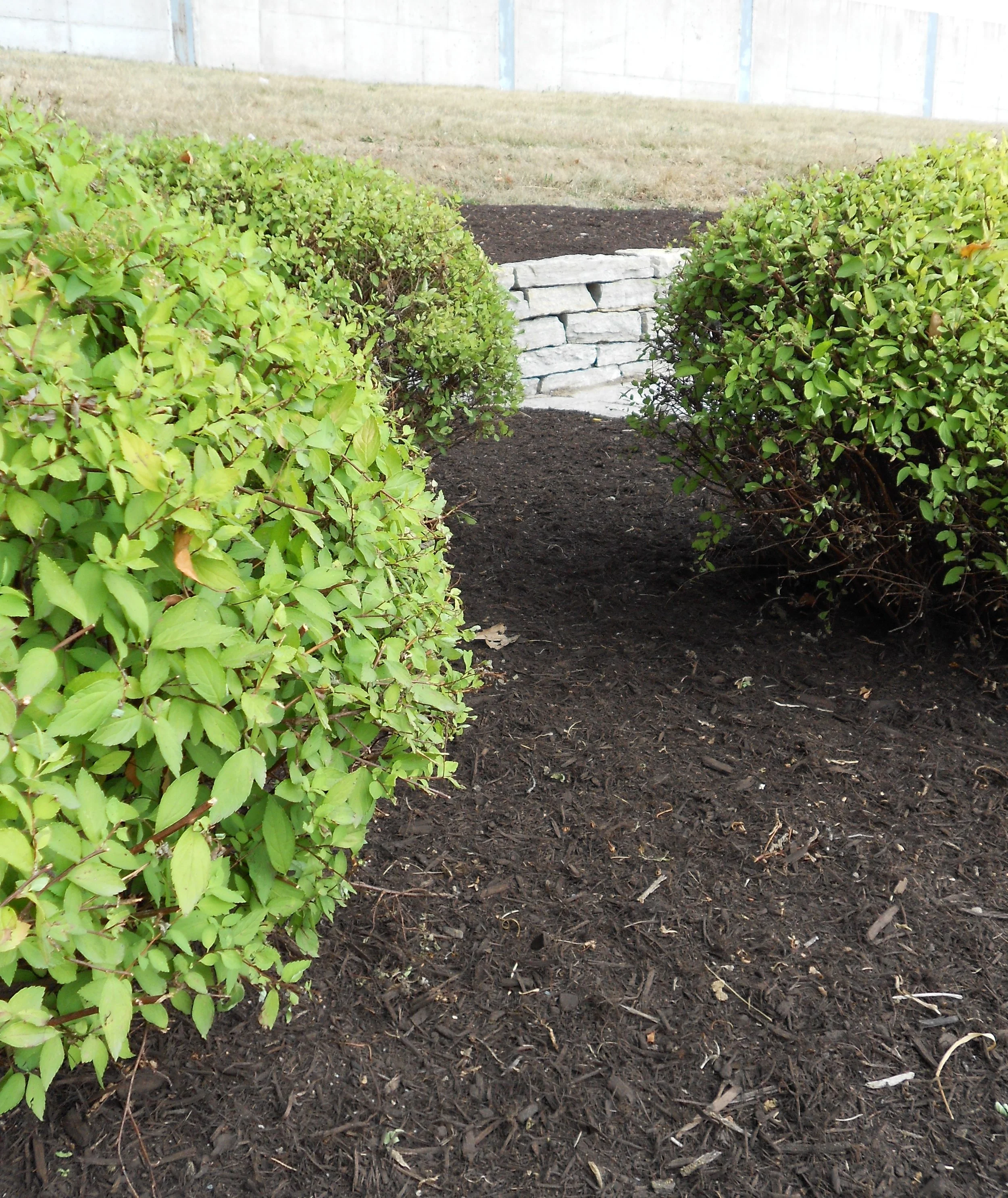 Products — Weaver Mulch