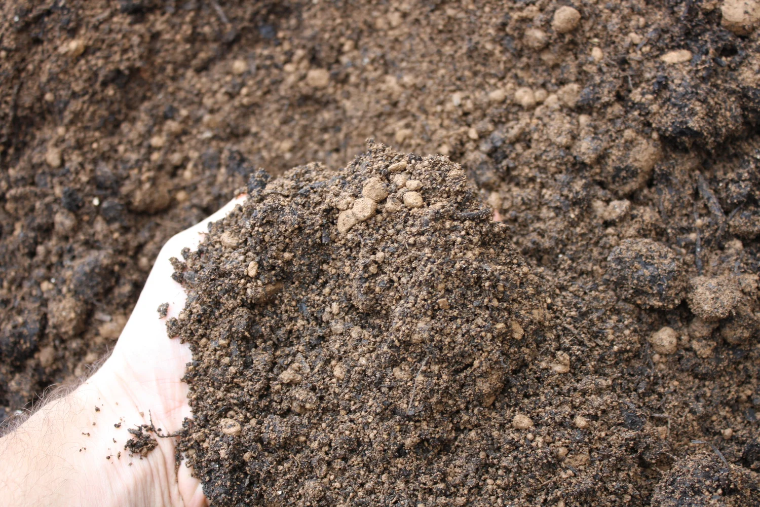 Screened Blend — Weaver Mulch