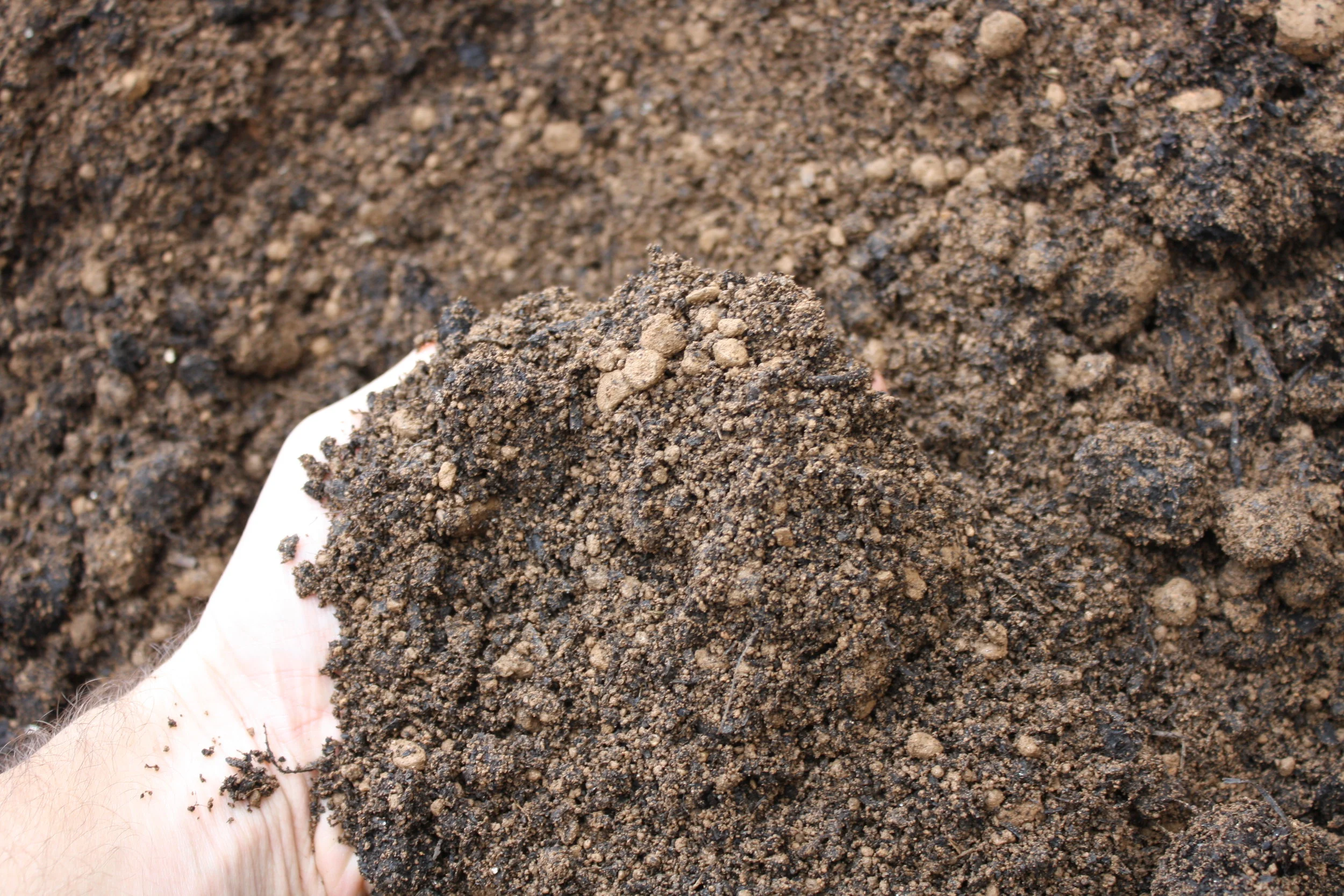 Screened Blend — Weaver Mulch