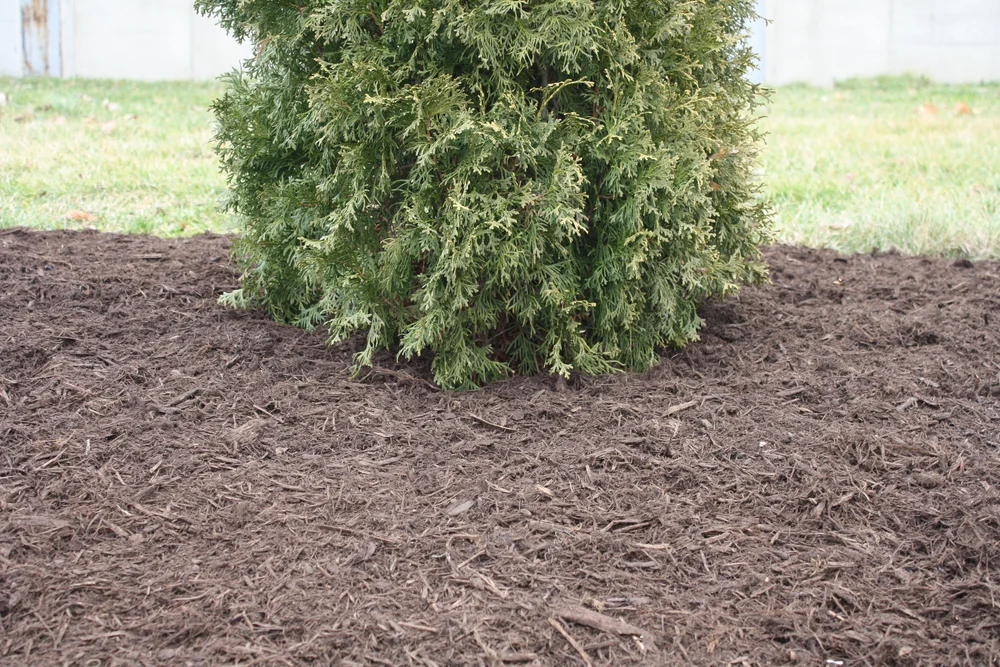 Premium Bark — Weaver Mulch