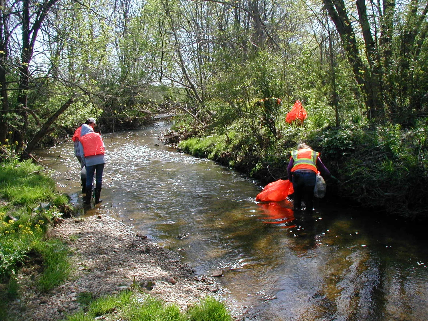 Projects — aurora robson