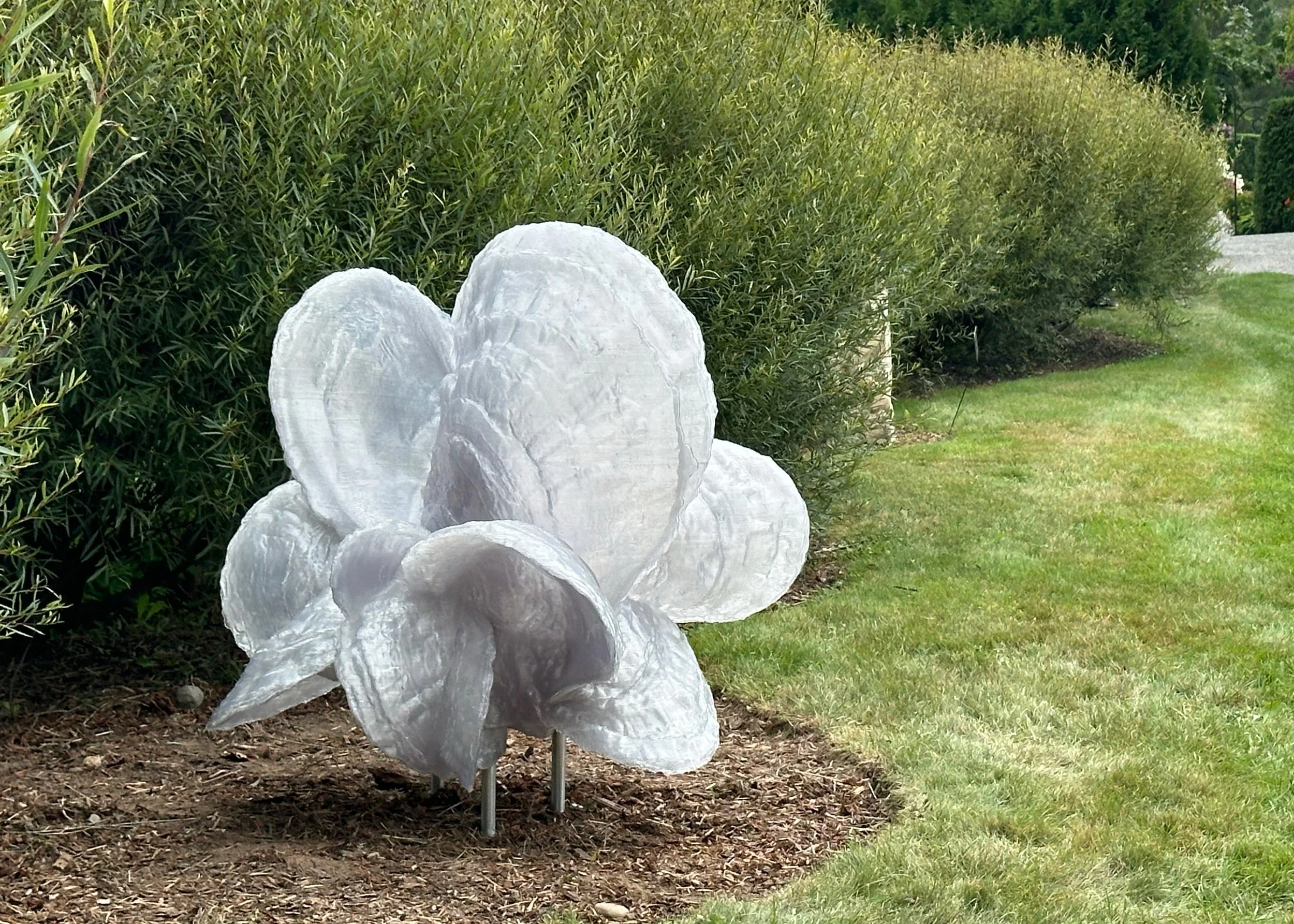 pick of the litter — Aurora Robson