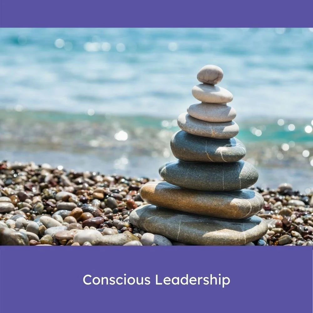 MindSpring Consulting