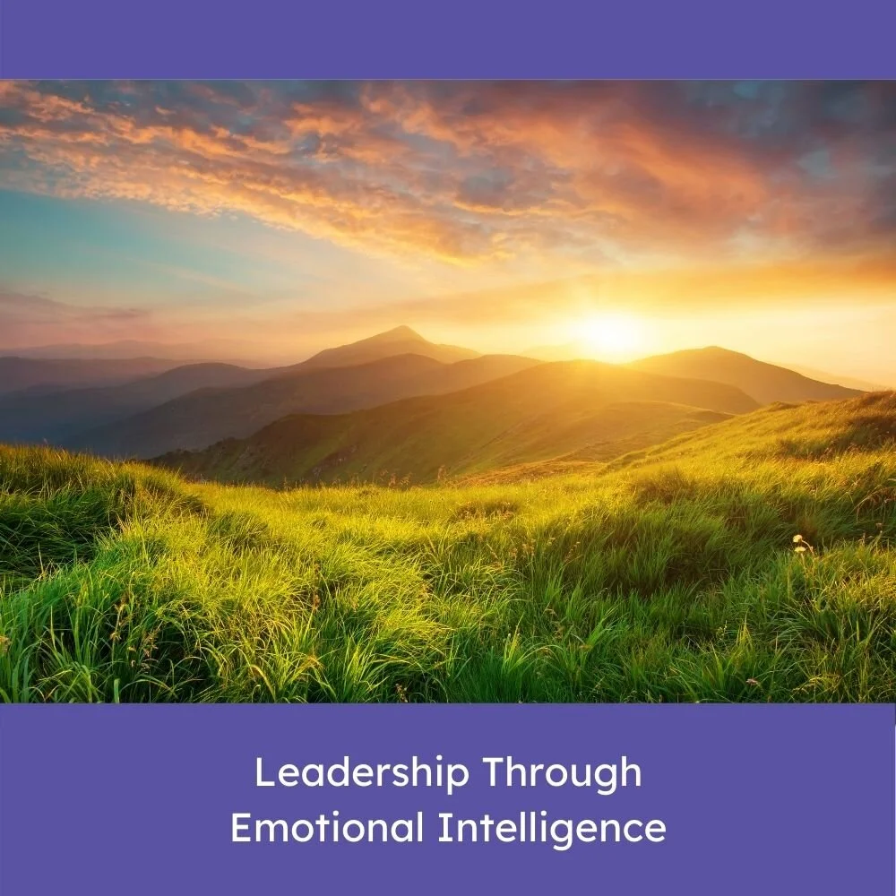 MindSpring Consulting