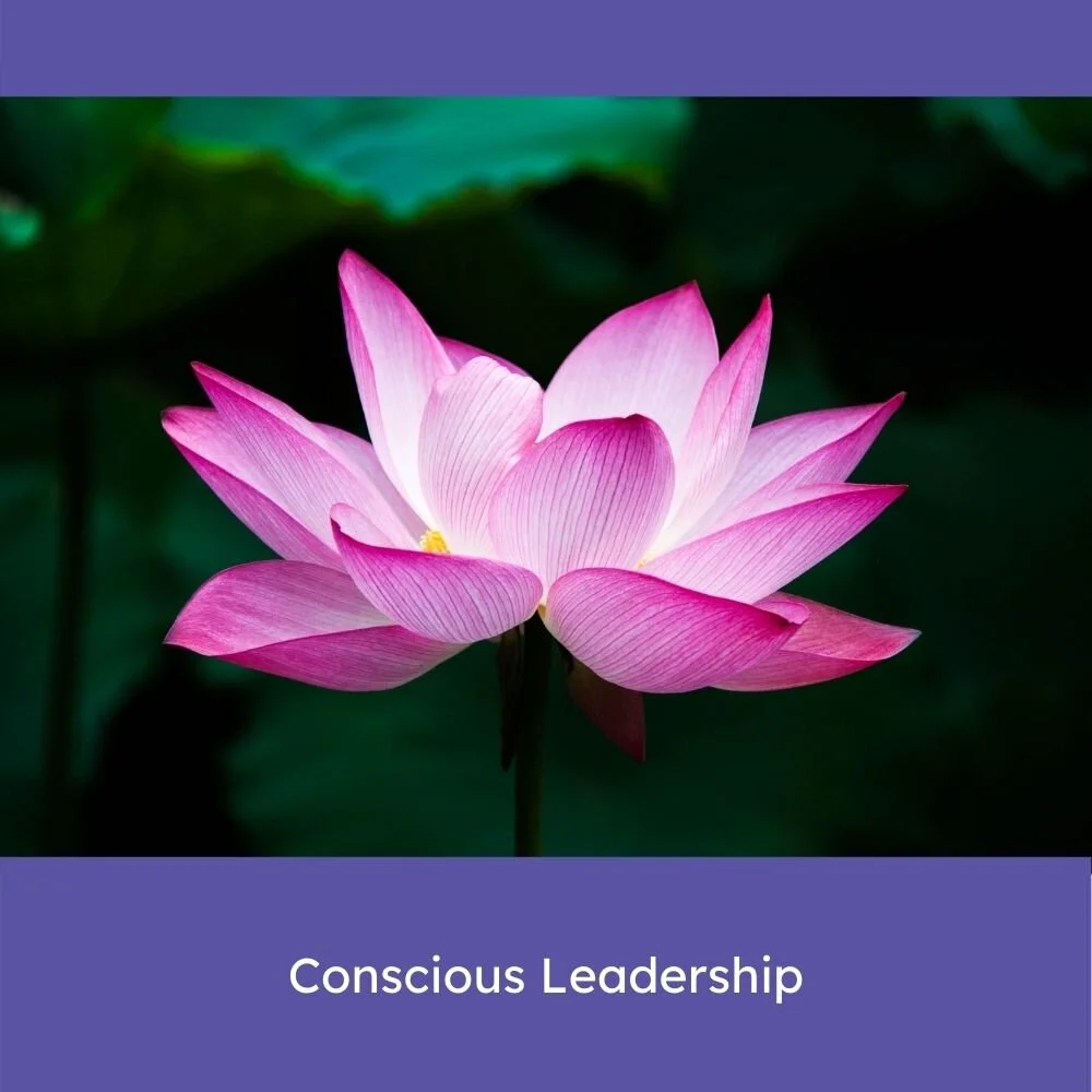 MindSpring Consulting