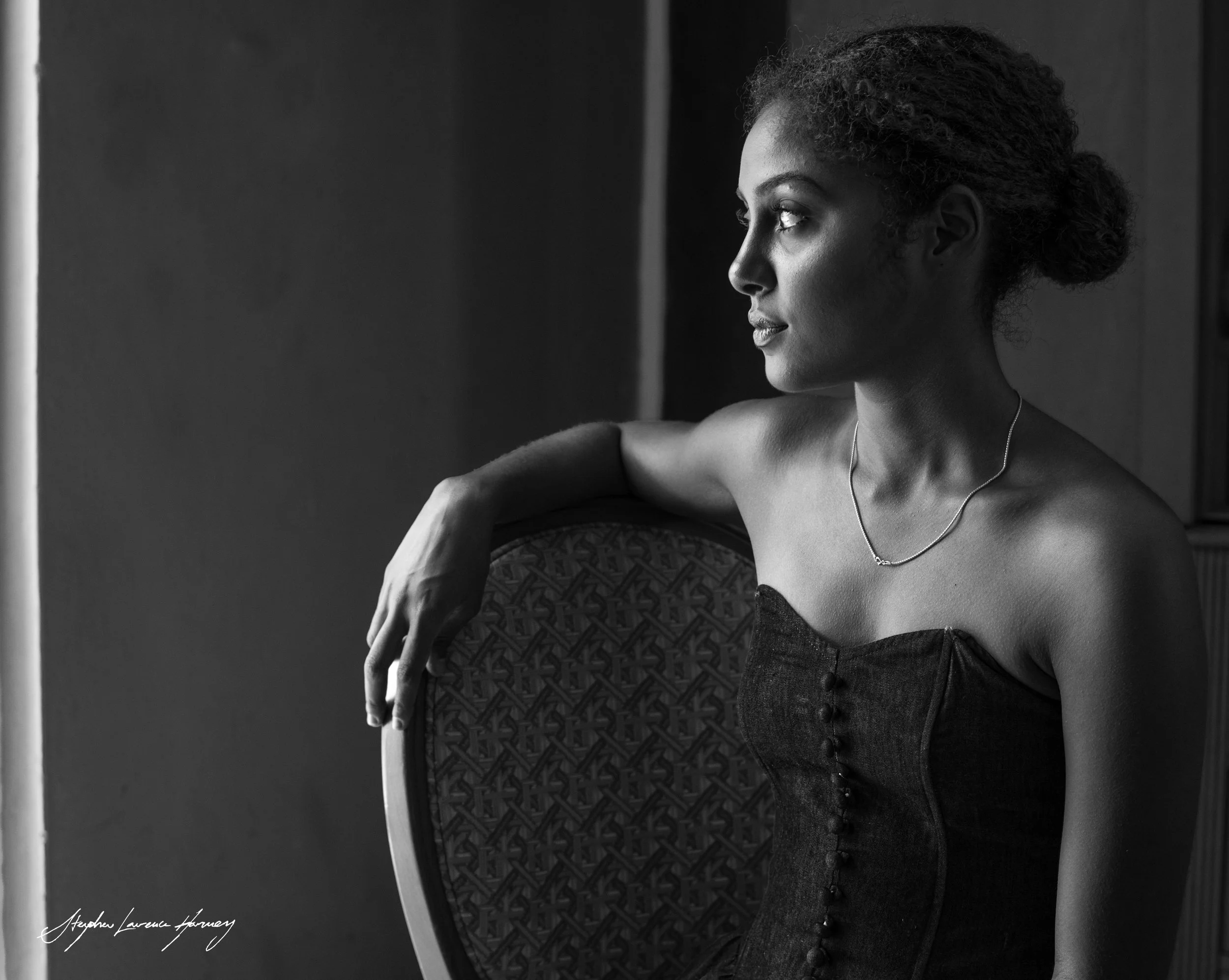 New Gallery — Stephen Laurence Harvey