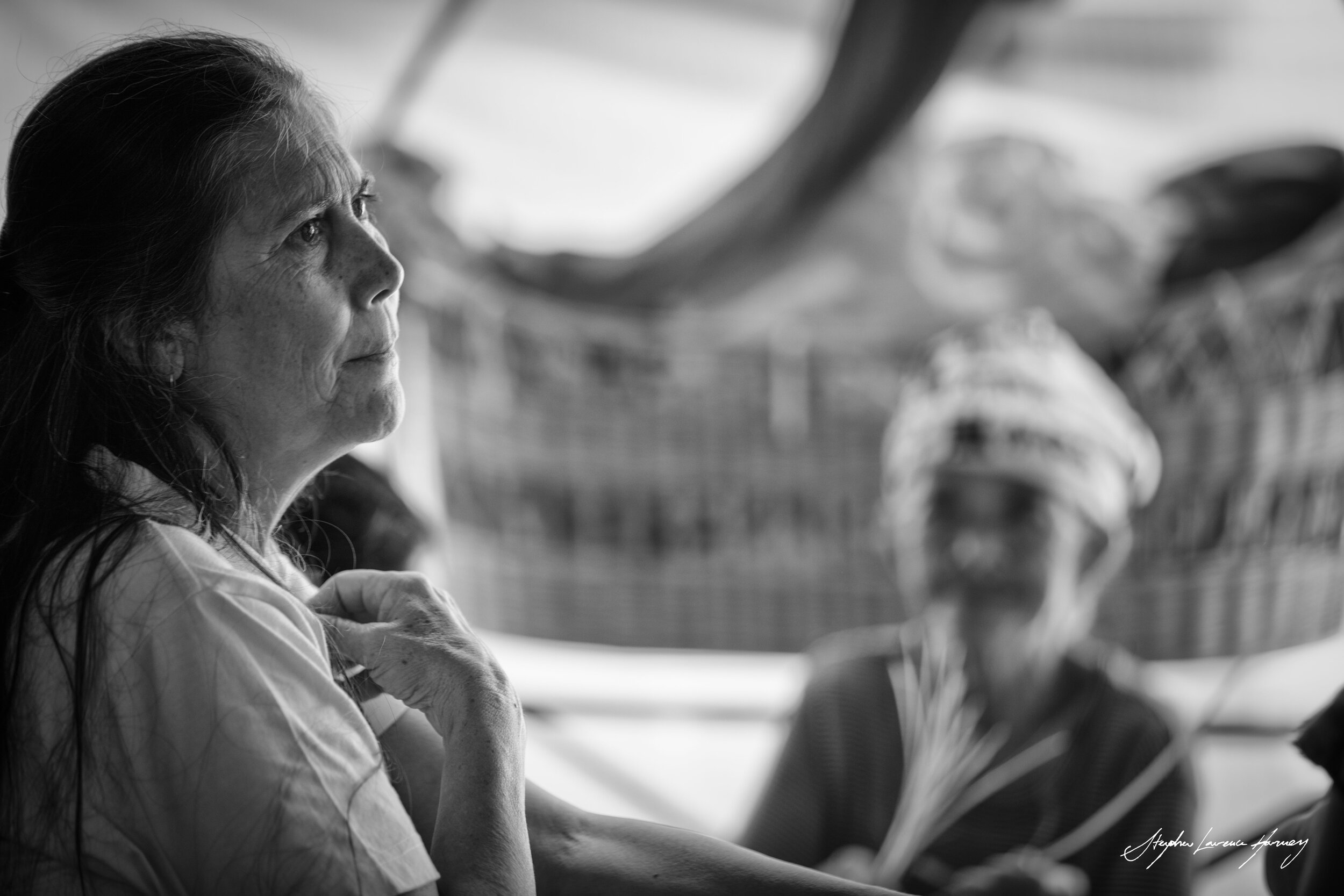 New Gallery — Stephen Laurence Harvey