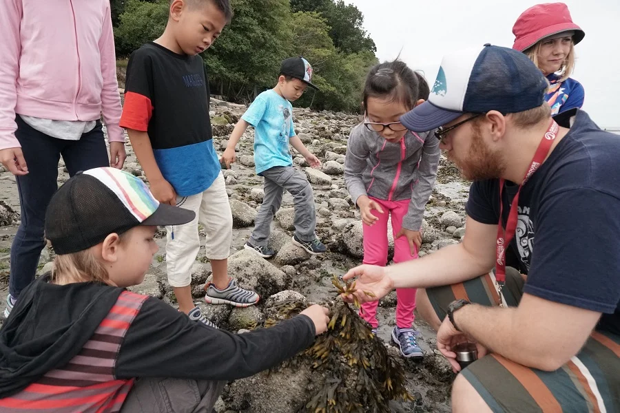 News & Media | Sea Smart