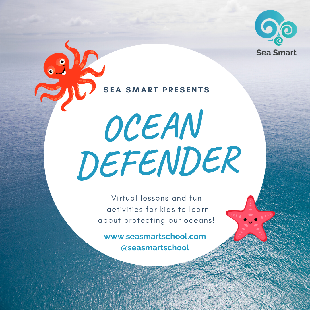 10+ Fun Online Resources and Activities — Sea Smart: Help Us Protect ...
