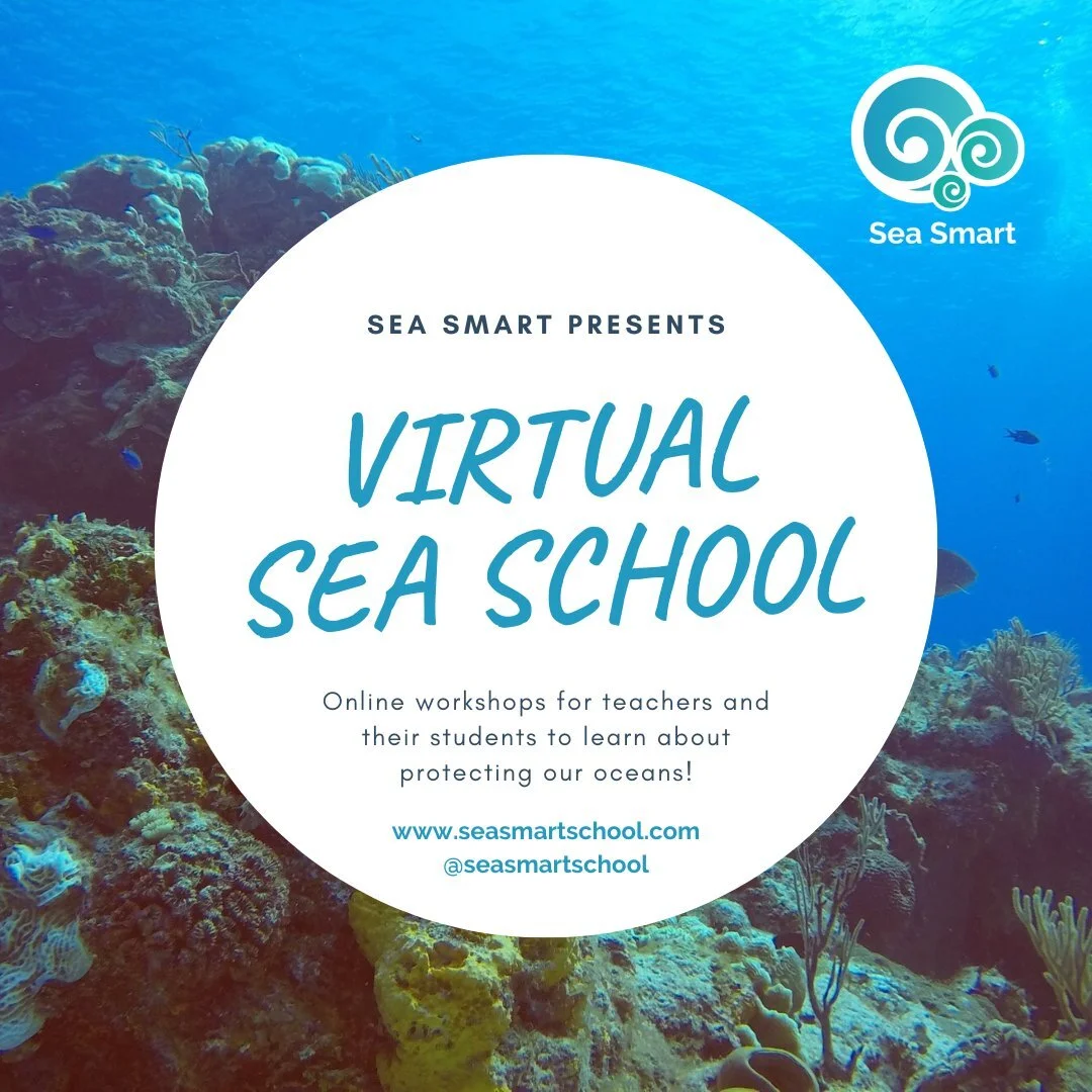 Introducing Virtual Sea School — Sea Smart: Help Us Protect Our Ocean