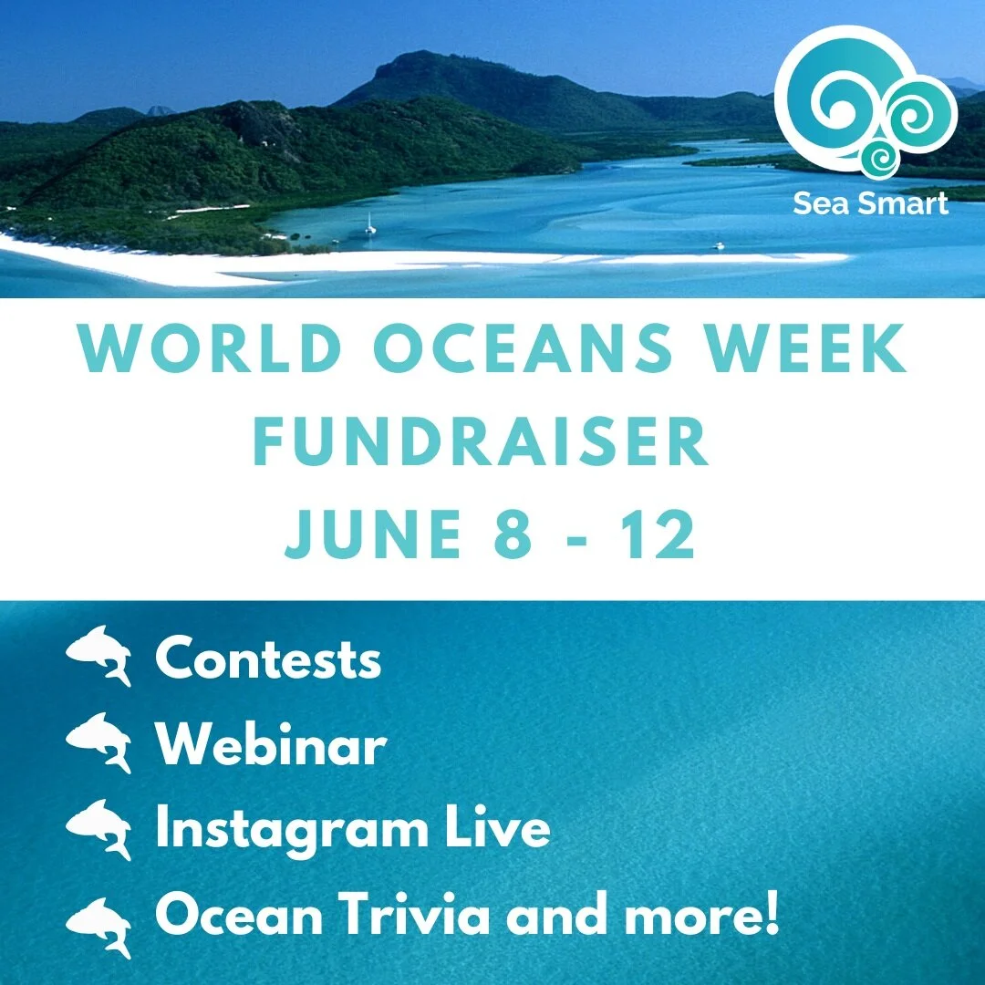 Blog: What Is World Oceans Week? — Sea Smart: Help Us Protect Our Ocean