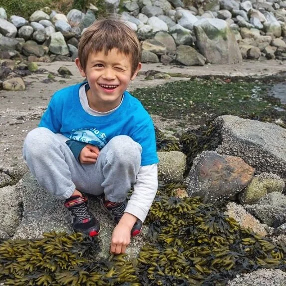 Our Work to Save Our Oceans | Sea Smart