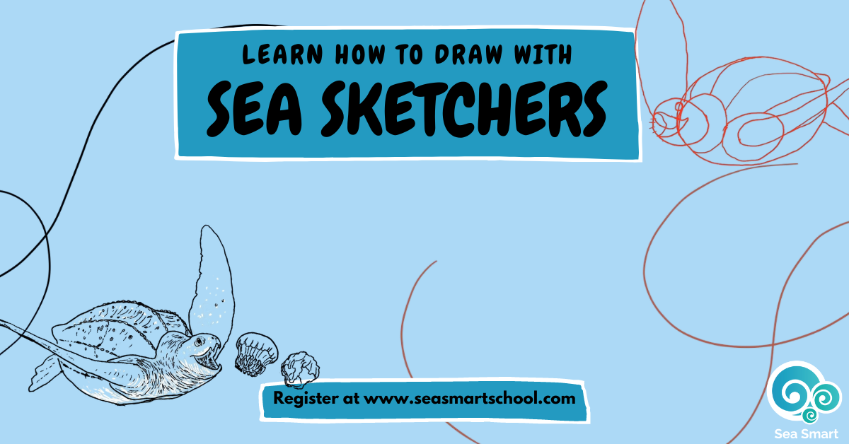 Online Educational Programs for Families | Sea Smart