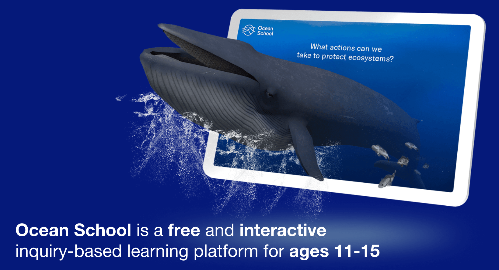 Free Educator Resources | Sea Smart