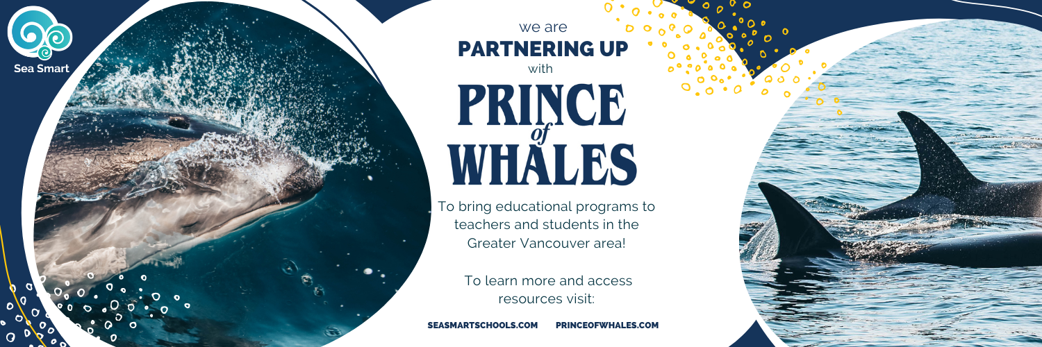 5 Fun Facts about Killer Whales (Orcas) with Prince of Whales — Sea ...