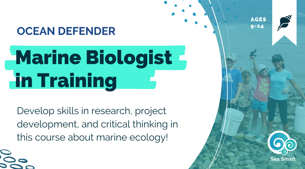 Online Educational Programs for Families | Sea Smart