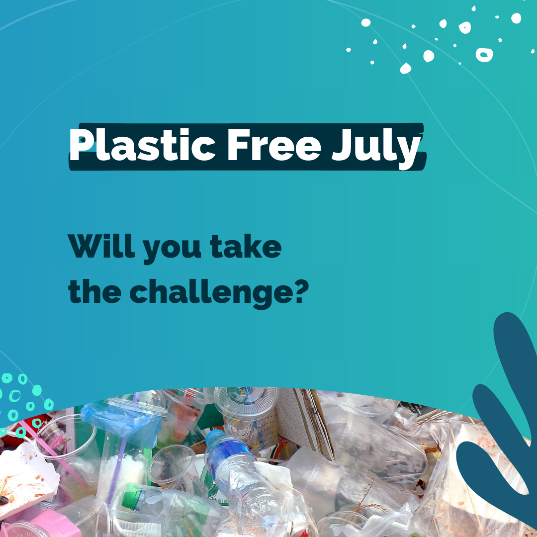 Why We Should Care About Plastic Pollution — Sea Smart: Help Us Protect ...